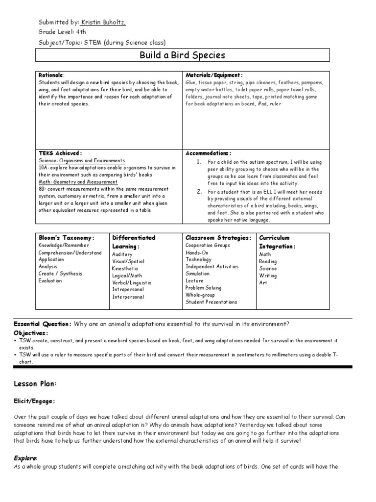 4th Grade STEM Bird Adaptation Project | PDF | Birds | Adaptation