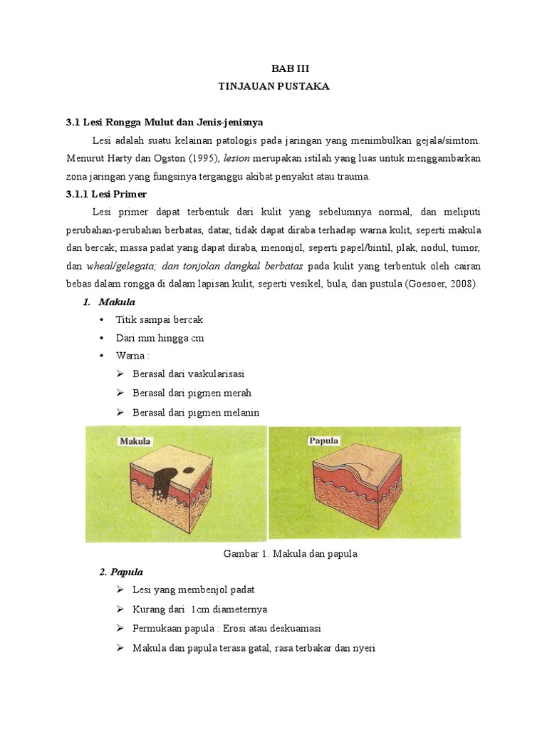 Jenis Lesi Kulit dan Gambarnya | PDF