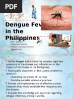 Dengue Awareness and Prevention Guide | PDF | Diseases And Disorders ...