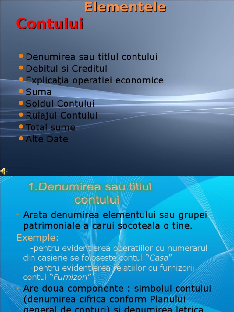 Prezentare - Elementele Contului | PDF