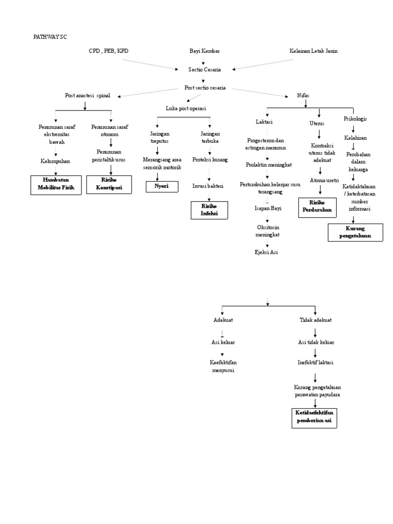 Pathway SC | PDF