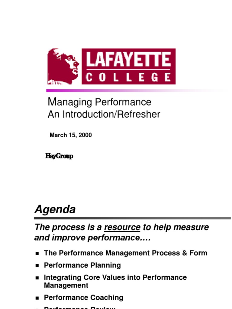 HayGroup Managing Performance | PDF | Competence (Human Resources ...