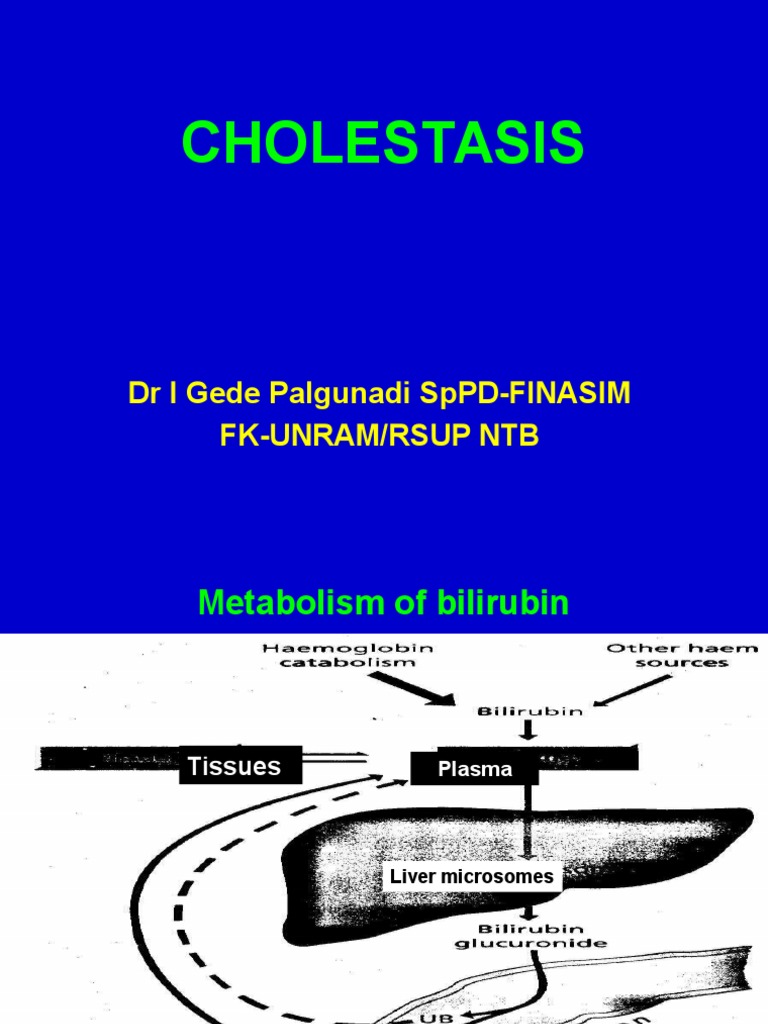 Cholestasis: DR I Gede Palgunadi Sppd-Finasim Fk-Unram/Rsup NTB | PDF ...