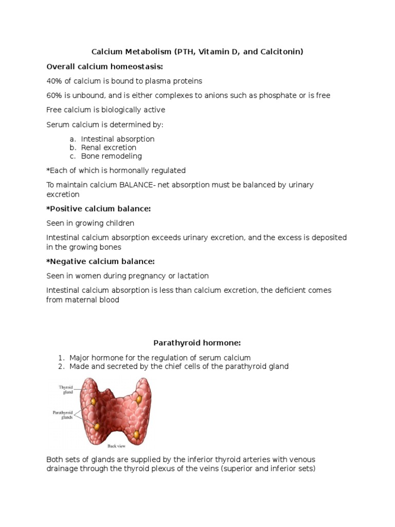 Calcium Metabolism (PTH, Vitamin D, and Calcitonin) | Parathyroid Gland ...