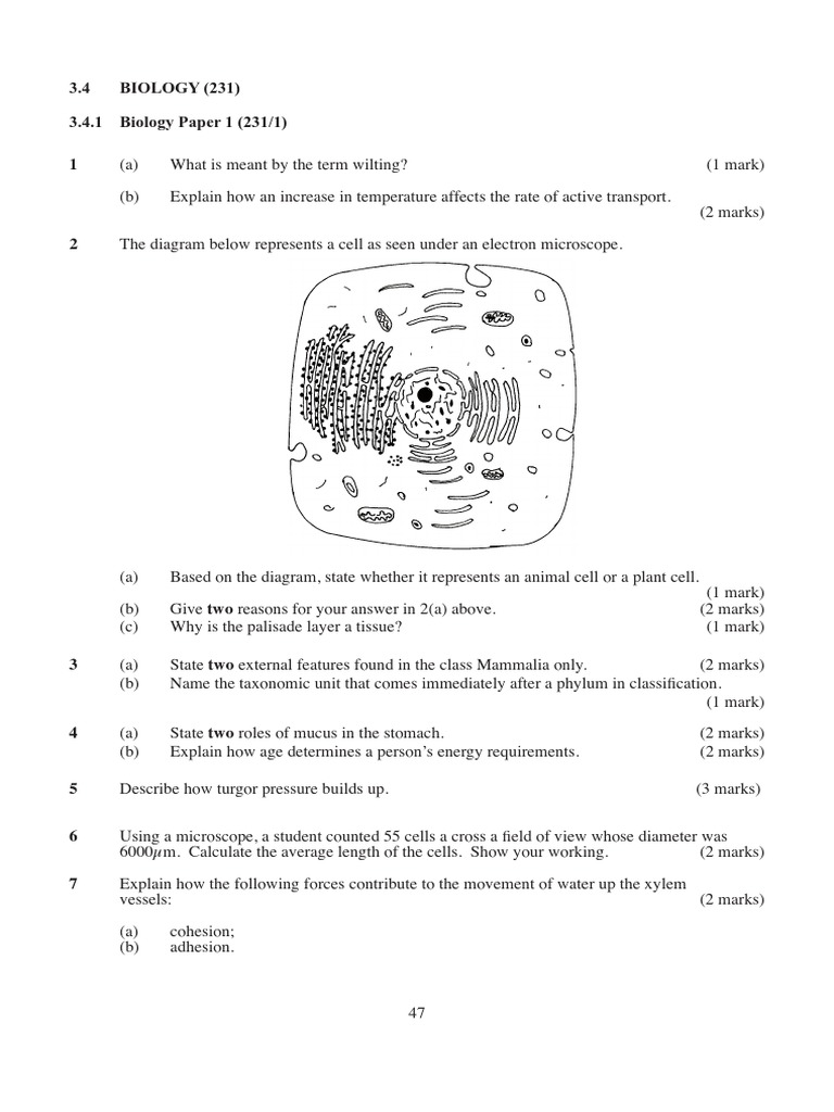 Biology Paper1 Questions and Answers Kcse 2013 | Leaf | Organisms