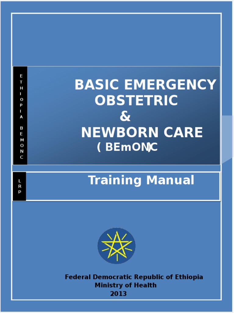 BEmONC Training for Health Workers | PDF | Maternal Death | Female ...