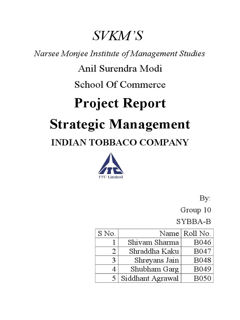 Strategy Report | PDF | Brand | Business