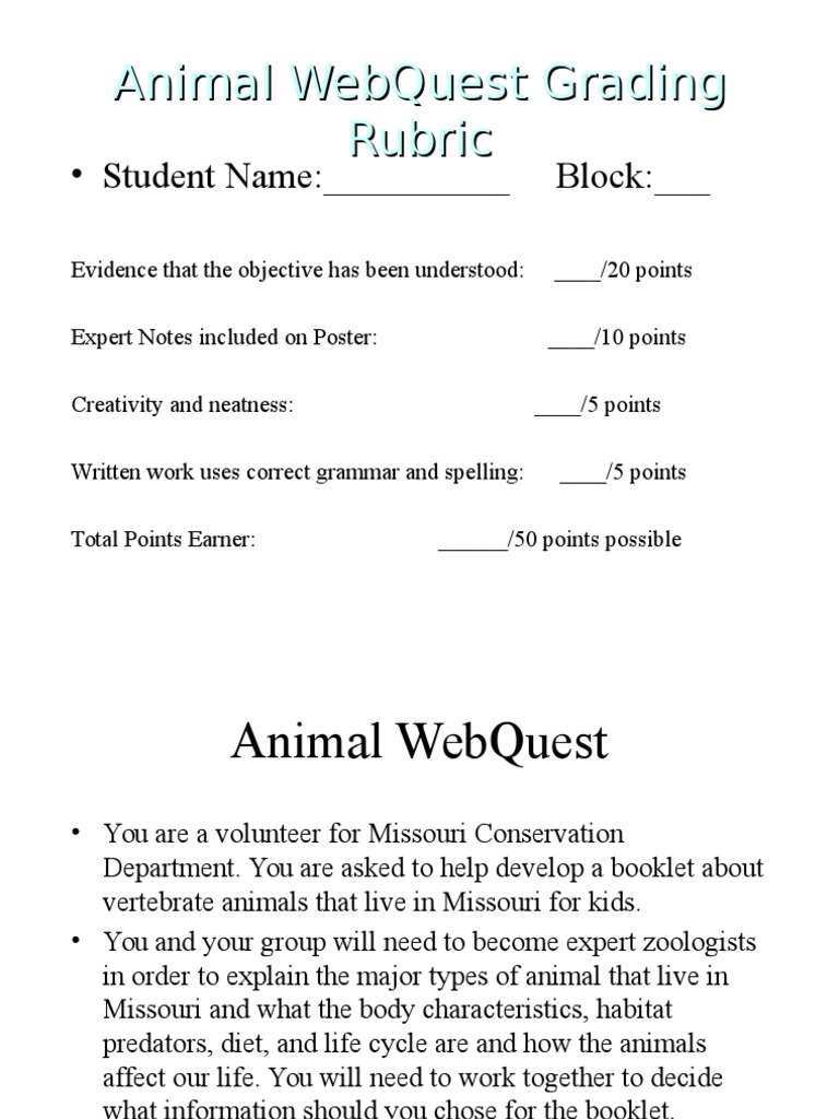 Animal WebQuest Grading Rubric | PDF