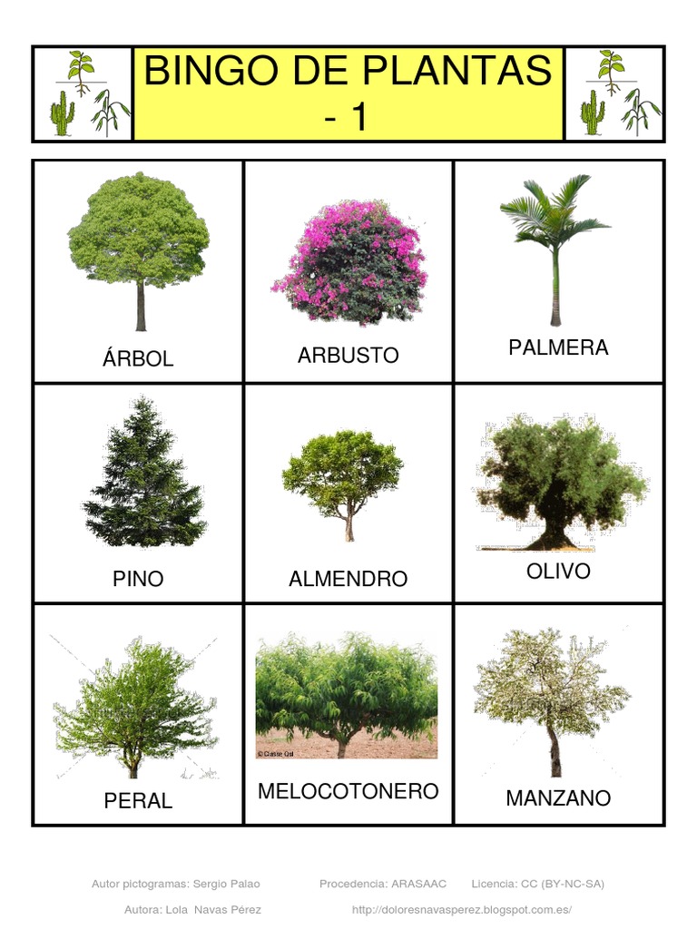Bingo de Plantas Fotos
