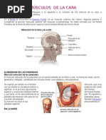Función e inervación del músculo mentoniano | PDF