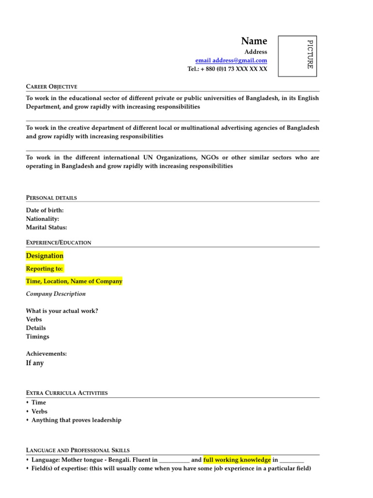 Demo CV Format | PDF