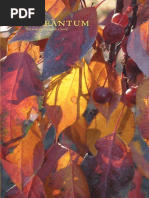 Good Little Wolf Nadia Shireen | PDF | Gray Wolf