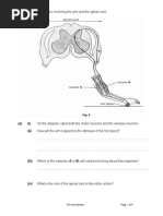Magnification Worksheet | PDF | Units Of Measurement | Teaching Mathematics