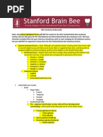 Brain Bee Practice Test Questions | PDF | Brain | Neuron