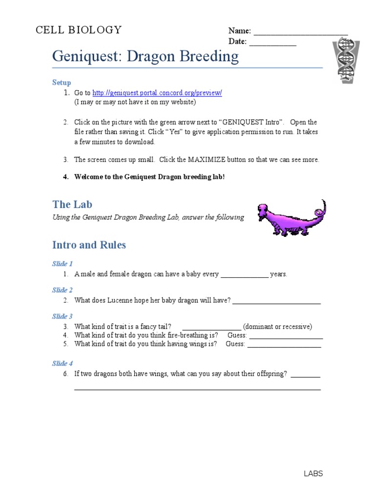 Dragon Breeding Lab Guide | PDF | Sex | Genetics