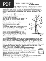 Subiect Comper Mate EtapaN 2022 2023 ClasaII | PDF