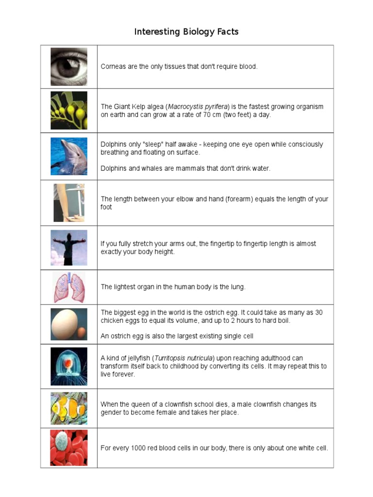 Interesting Biology Facts | PDF | Blood | Frog