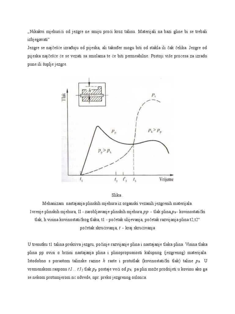 Plinski Mjehur | PDF