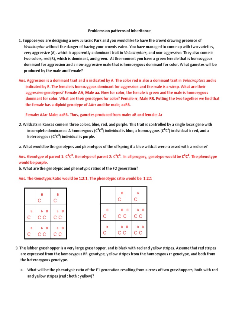 Problems From Patterns of Inheritance (Ch. 10) | PDF | Dominance ...