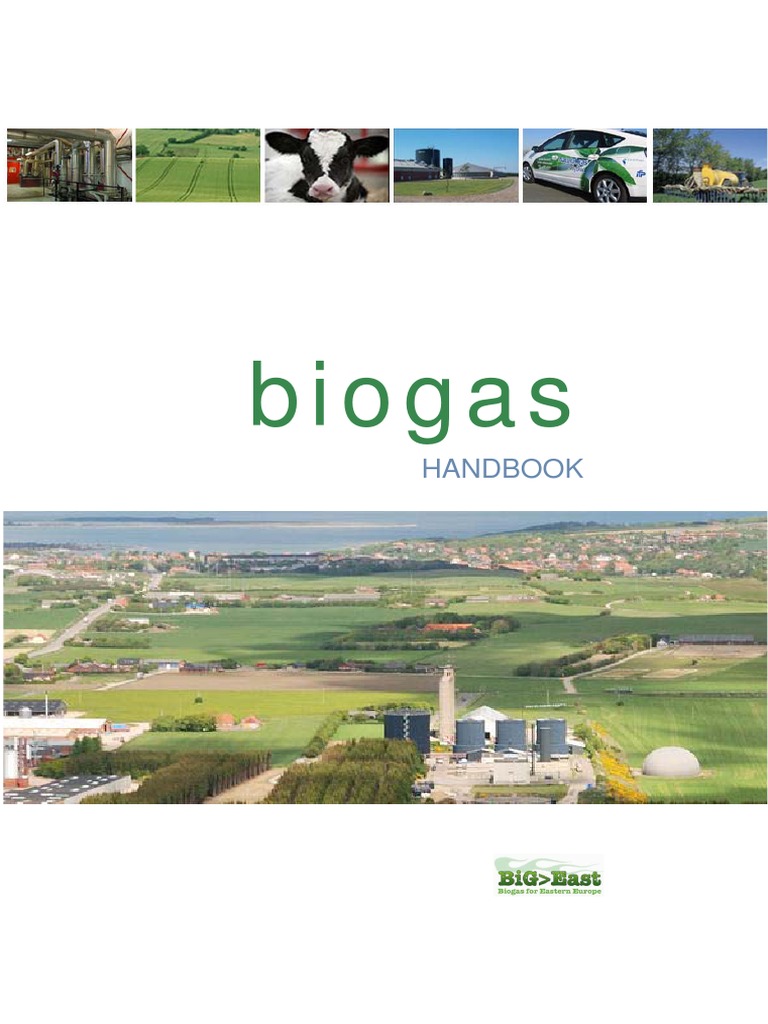 Biogas Handbook | PDF | Biogas | Anaerobic Digestion
