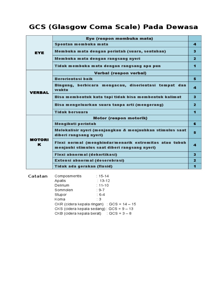 Cara Mengetahui Skor GCS Pada Dewasa Dan Anak | PDF | Seni & Disiplin ...