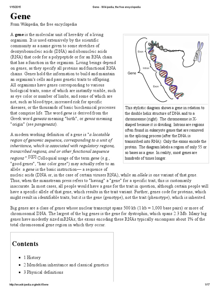 Characterstics and Structure of Gene | PDF | Directionality (Molecular ...