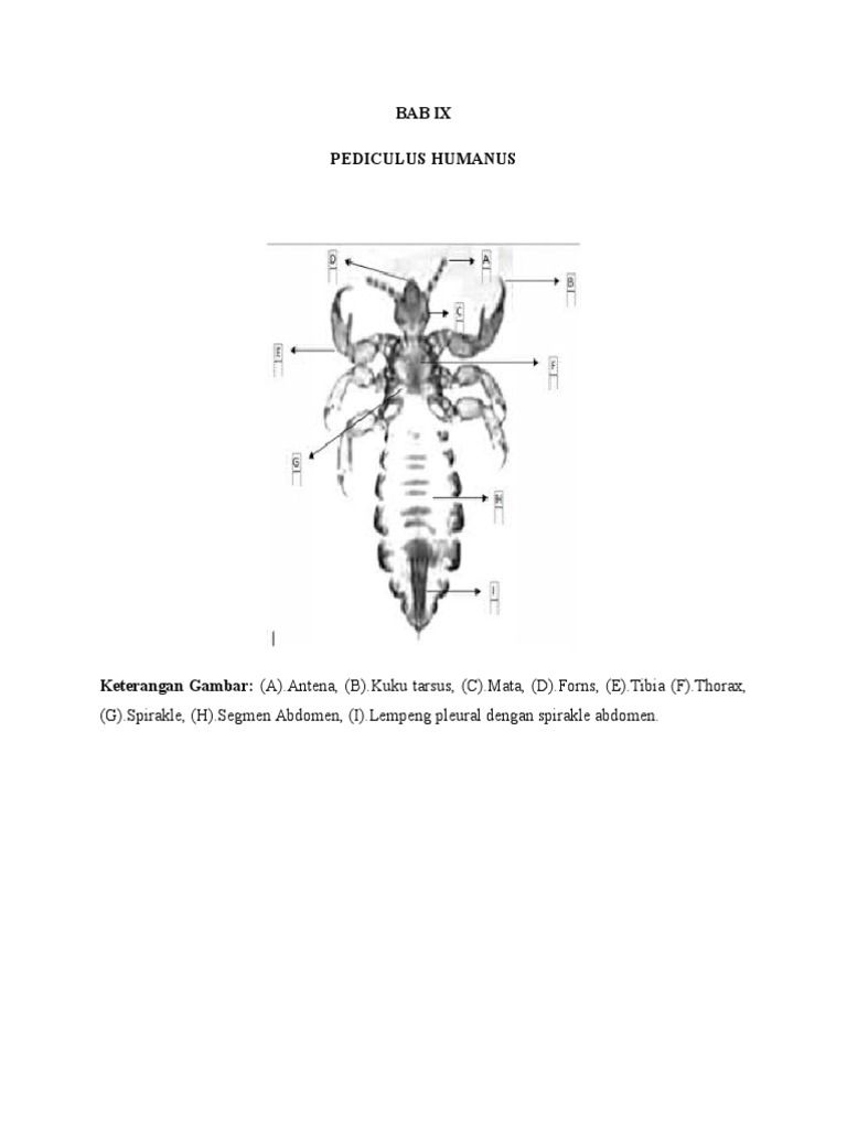 Pediculus Humanus Capitis | PDF | Ilmu Sosial | Sains & Matematika