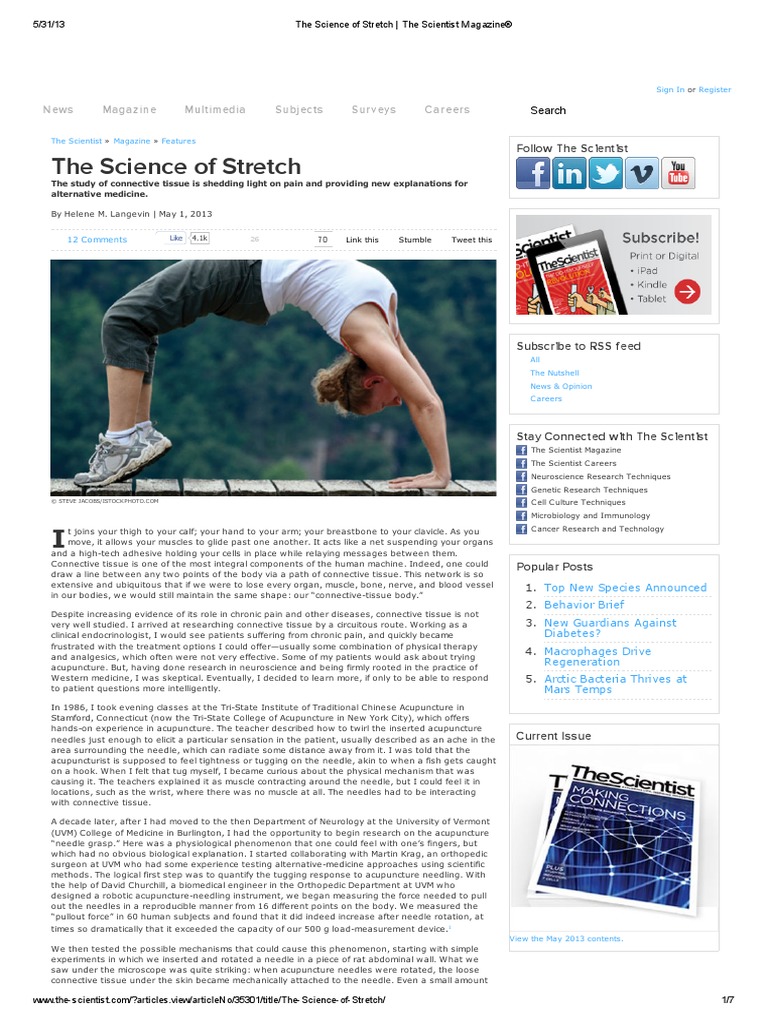 The Science of Stretch - The Scientist Magazine® | PDF | Matrix ...