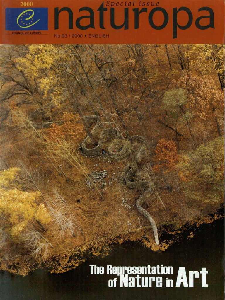 Representation of Nature in Art | PDF | Landscape Painting | Impressionism