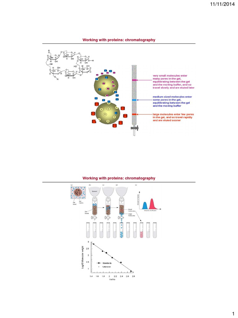 Protein Chromatography Techniques | PDF