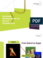 Termamyl 120 L: Heat-Stable Amylase | PDF | Starch | Ph