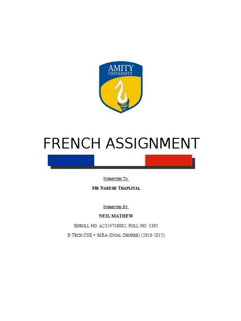 French Assignment Submission by Neil Mathew | PDF | Career & Growth ...