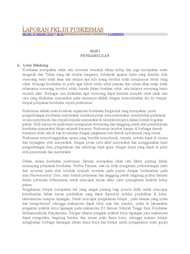 Laporan PKL Di Puskesmas | PDF