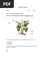 Guía N°3 Partes y Necesidades de Una Planta Ciencias Naturales Tercero ...