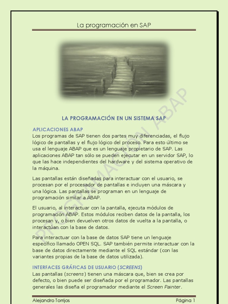 SAP: La Programación ABAP | PDF | Programa de computadora | Programación