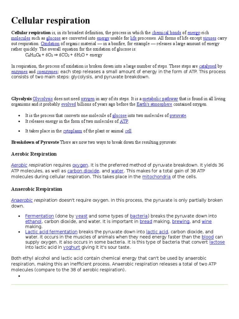 Overview of Cellular Respiration | PDF
