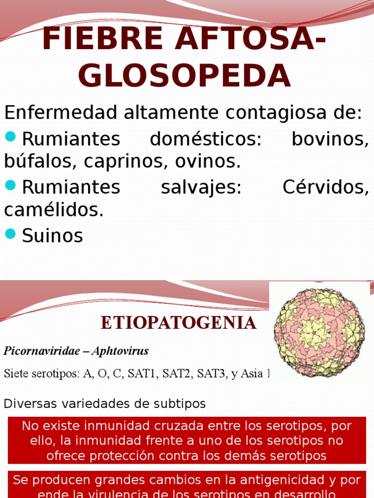 Fiebre Aftosa | Virus | Microbiología
