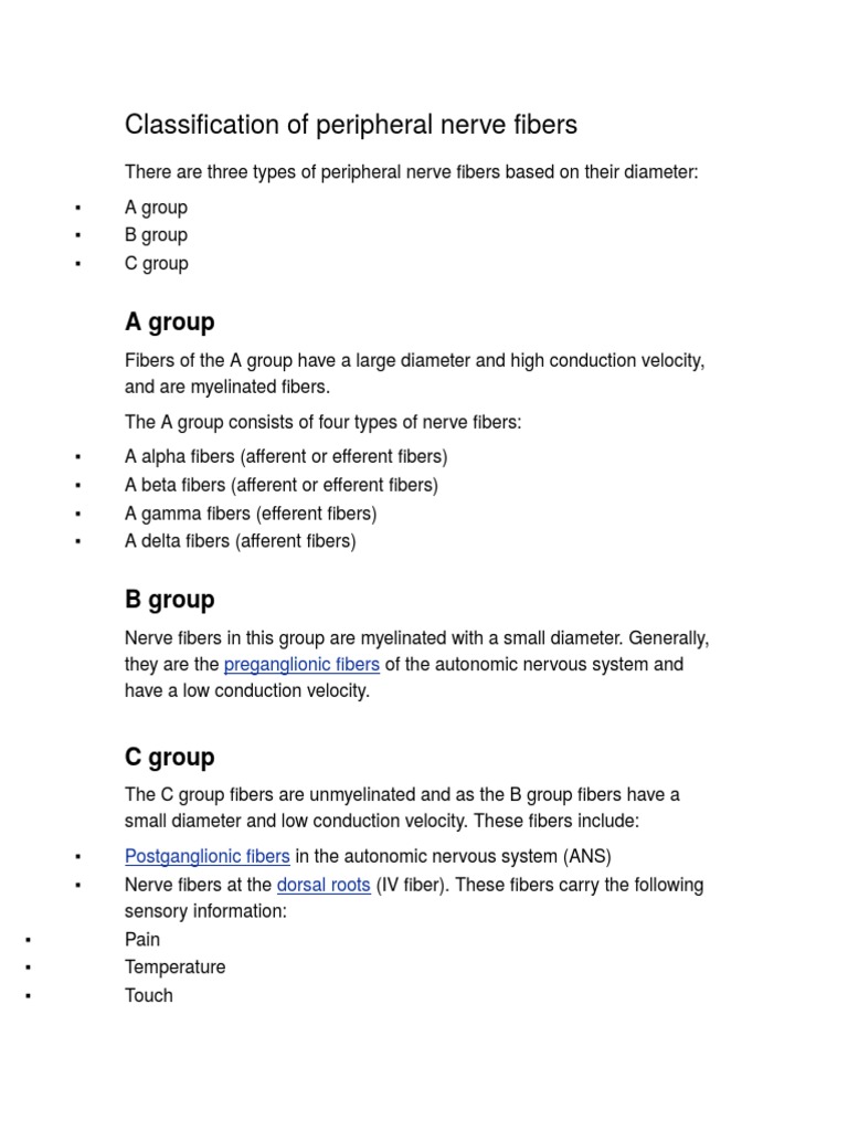 Classification of Peripheral Nerve Fibers | PDF