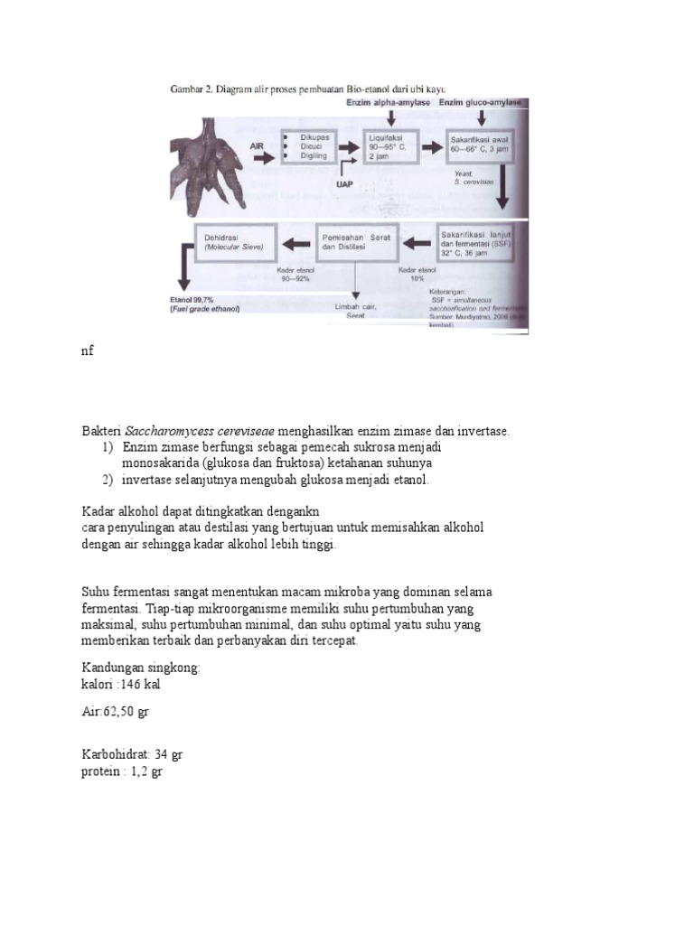 Bakteri Saccharomycess Cereviseae Menghasilkan Enzim Zimase Dan ...