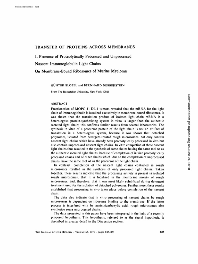 Ch10-Signal Hypothesis-Blobel & Dobberstein 1975 | PDF | Biological Membrane | Translation (Biology)