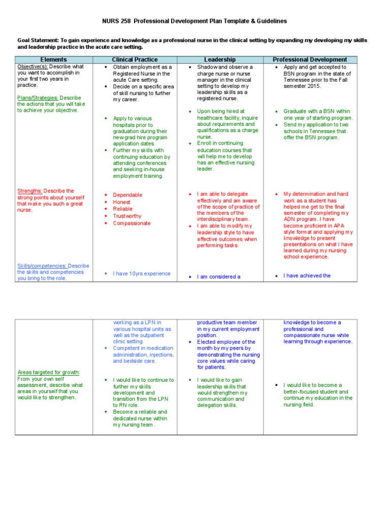 PDP | PDF | Nursing | Leadership