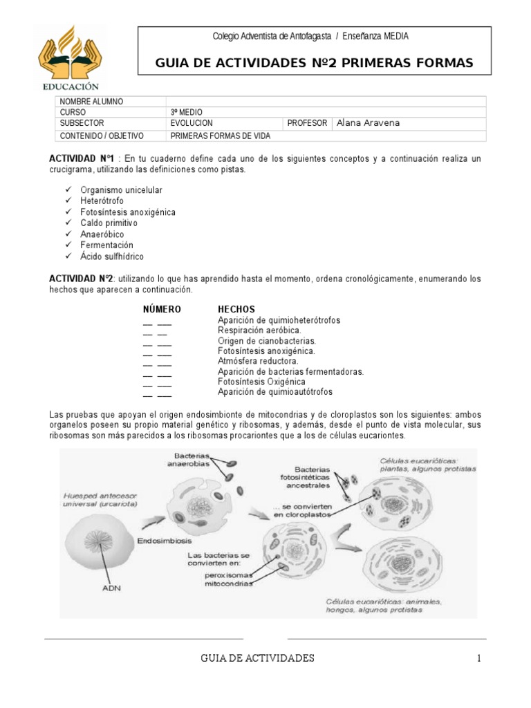 Primeras Formas de Vida Guia Actividades | PDF | Procariota | Organismos