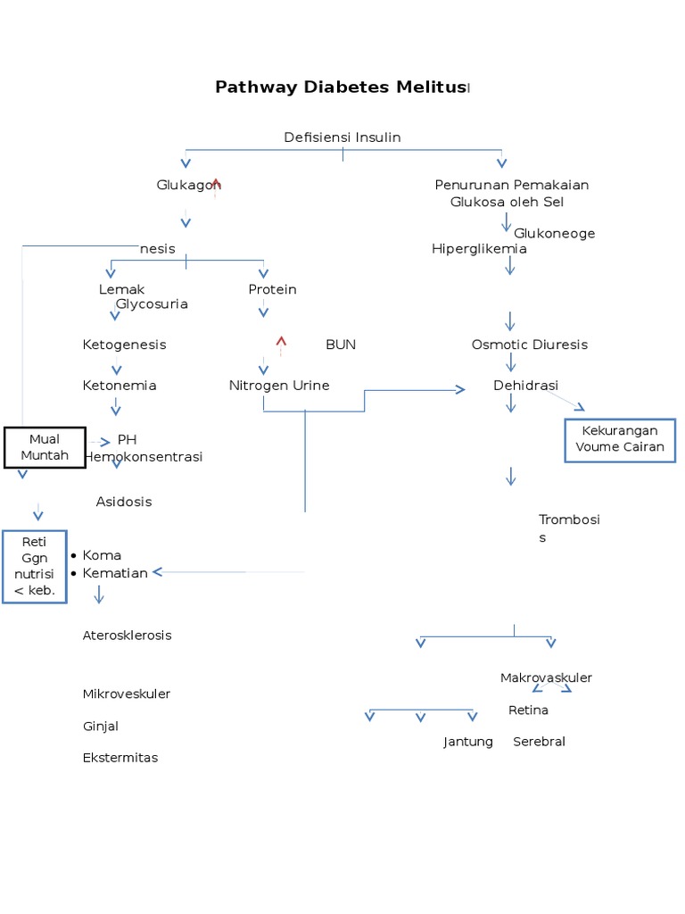 Pathway Diabetes Melitus | PDF