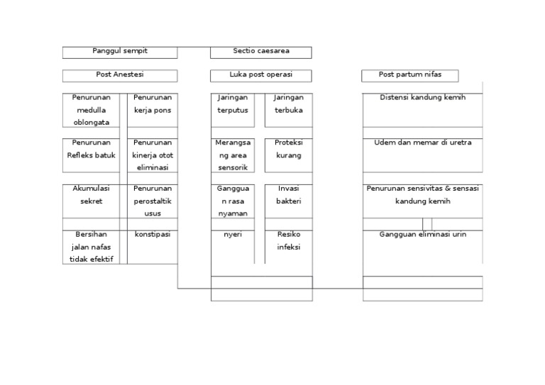 Panggul Sempit Pathway | PDF