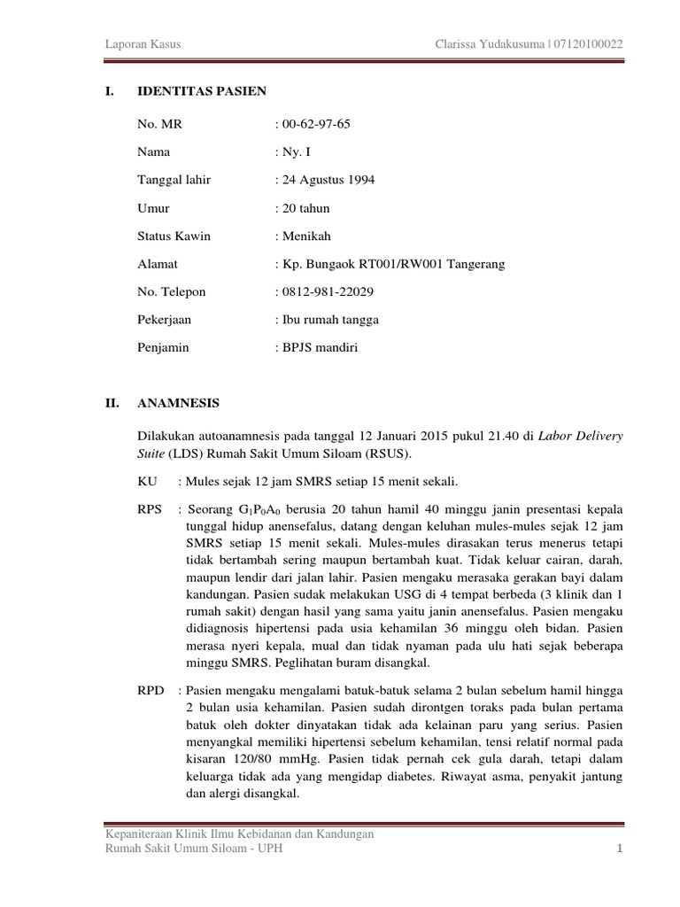 Lapkas Anensefalus + PEB - Clarissa Y | PDF