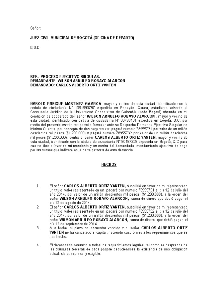demanda ejecutiva en Colombia ejemplo | Pagos | Bogotá