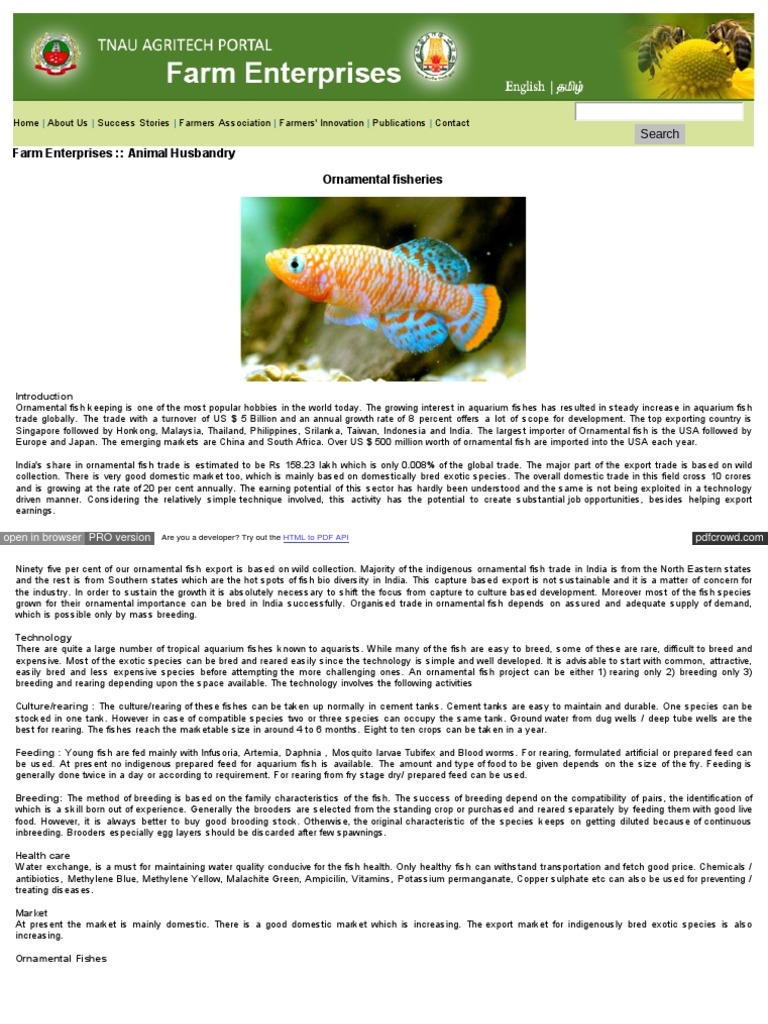 Ornamental Fish Farming | Fishkeeping | Aquarium
