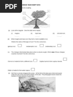Year 9 Science Exam Revision Notes - Sets 1-5 PDF | PDF | Lung ...