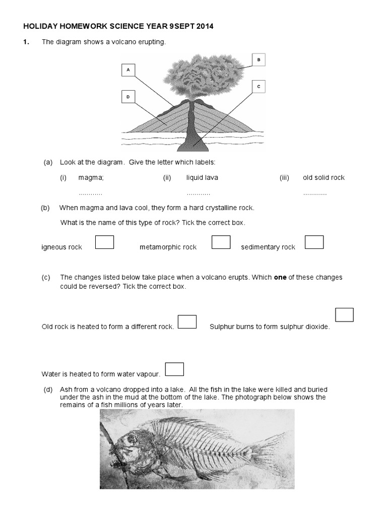 Year 9 Science | PDF | Rock (Geology) | Volcano