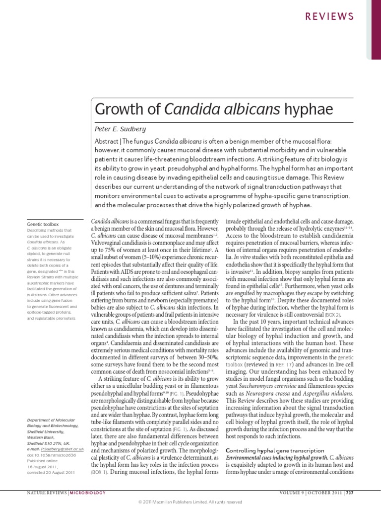 Growth of Candida Albicans Hyphae 2011 | PDF | Cell Growth | Cell Signaling
